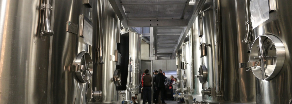 Découvrir le domaine : le chai – Vin de Liège, domaine viticole liégeois